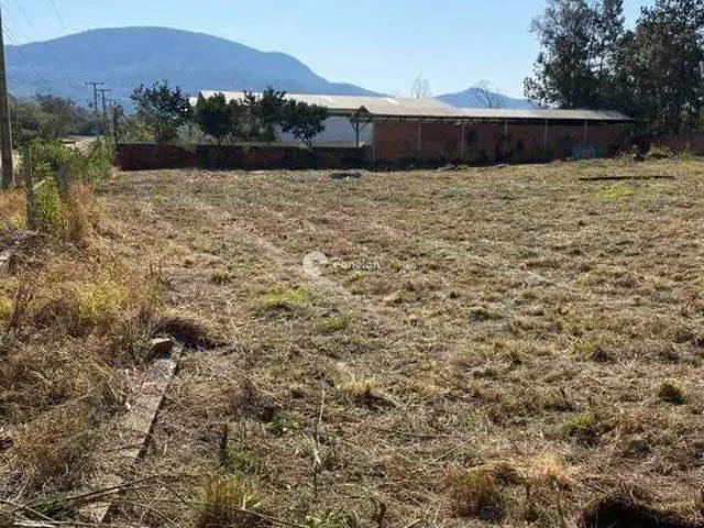 Terreno comercial para Locação em Santa Maria/RS Pé de Plátano