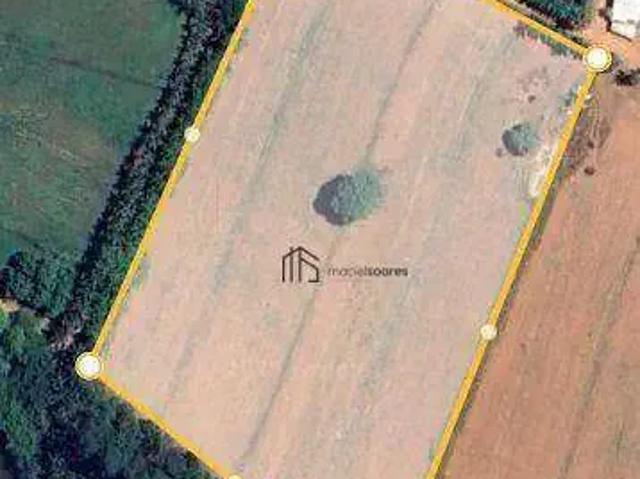 Terreno comercial para Locação em Santo Antônio de Posse/SP Barreiro