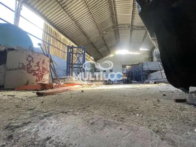 Terreno comercial para Locação em Santos/SP Vila Mathias