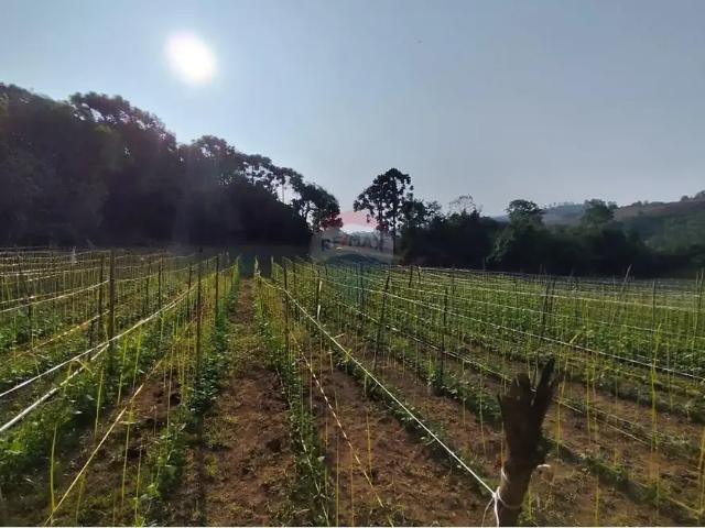 Terreno comercial para Venda em Munhoz/MG Centro