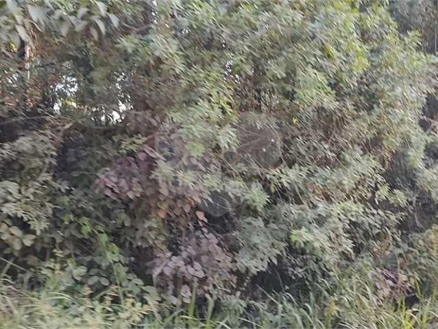 Terreno comercial para Venda em Mairiporã/SP Luiz Fagundes