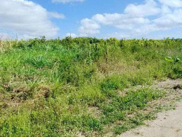 Terreno comercial para Venda em Massaranduba/PB Centro