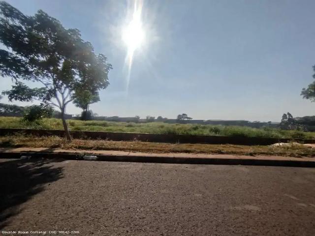 Terreno comercial para Venda em Marialva/PR Parque Industrial