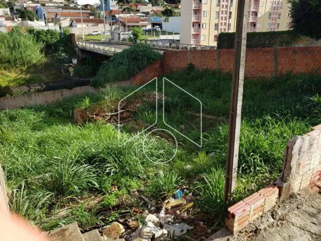 Terreno comercial para Venda em Marília/SP Alto Cafezal
