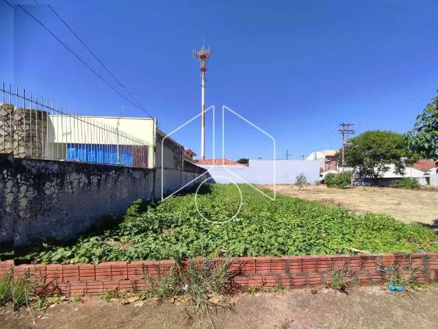 Terreno comercial para Venda em Marília/SP Alto Cafezal