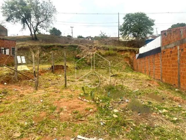 Terreno comercial para Venda em Marília/SP Antonio Carlos Nascimento da Silva