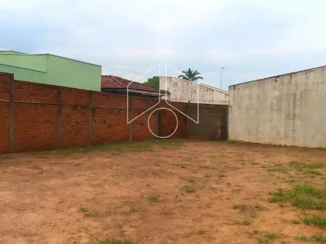 Terreno comercial para Venda em Marília/SP Jardim Flamingo