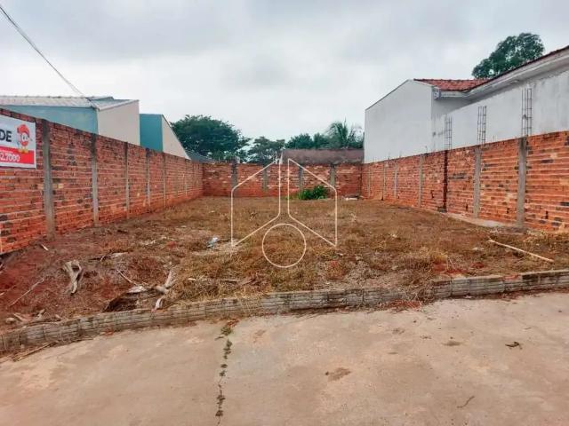 Terreno comercial para Venda em Marília/SP Jardim Flora Rica
