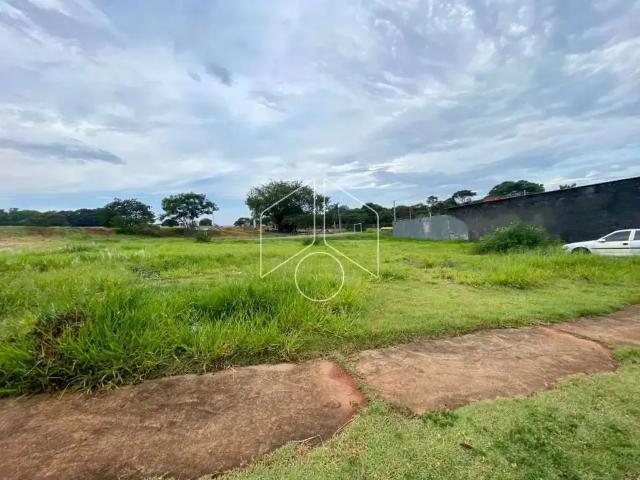 Terreno comercial para Venda em Marília/SP Residencial Vida Nova Maracá Padre Nobrega