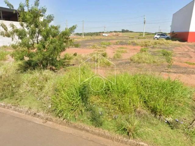 Terreno comercial para Venda em Marília/SP Residencial Vida Nova Maracá Padre Nobrega