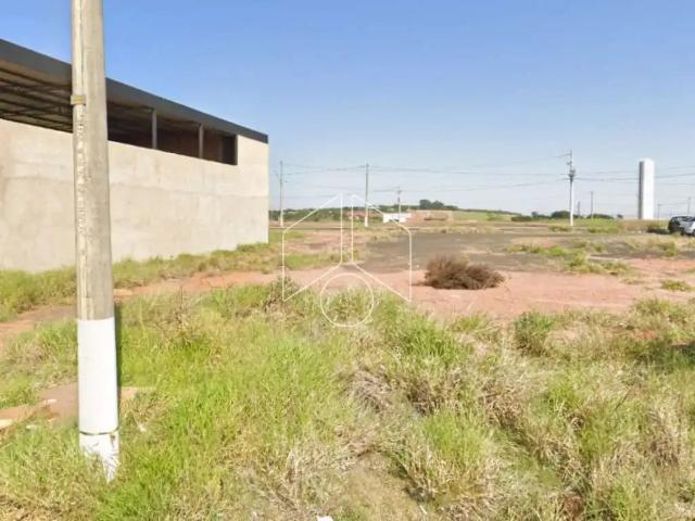 Terreno comercial para Venda em Marília/SP Residencial Vida Nova Maracá Padre Nobrega