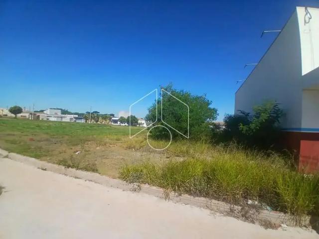 Terreno comercial para Venda em Marília/SP Residencial Vida Nova Maracá Padre Nobrega