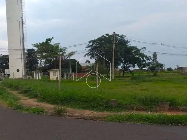 Terreno comercial para Venda em Marília/SP Residencial Montana Padre Nóbrega