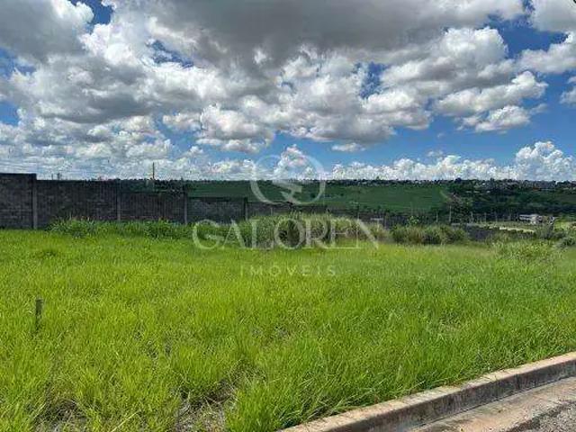 Terreno comercial para Venda em Maringá/PR Alto das Grevíleas