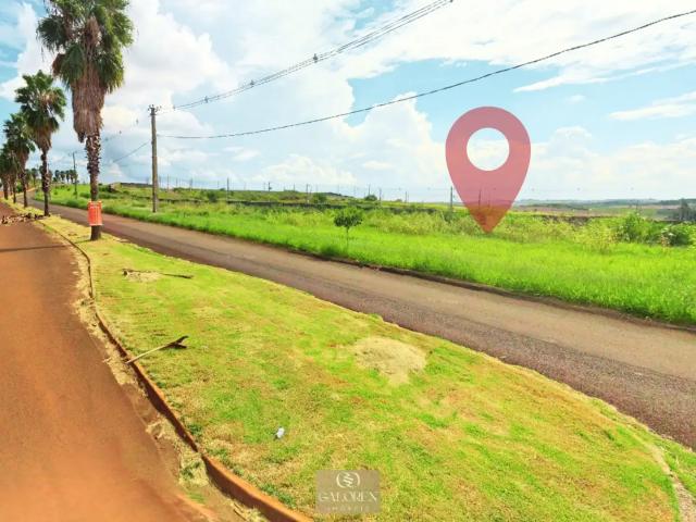 Terreno comercial para Venda em Maringá/PR Alto das Grevíleas