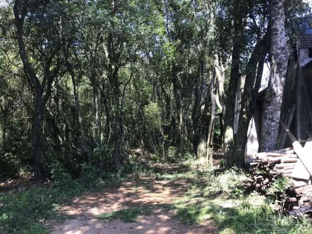 Terreno comercial para Venda em Morro Reuter/RS Centro