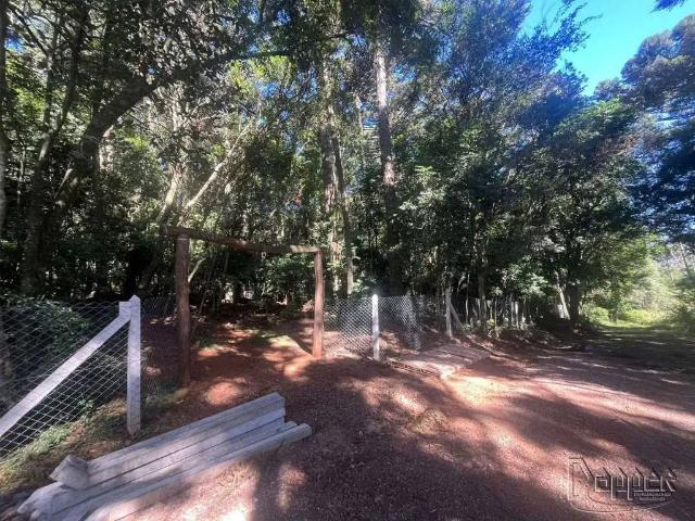 Terreno comercial para Venda em Morro Reuter/RS Linha Gorgen