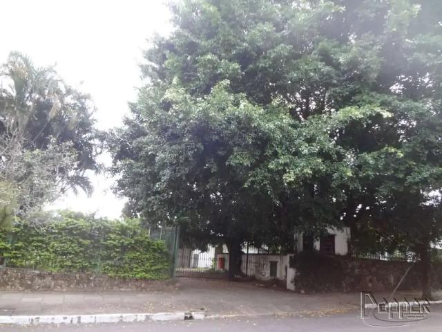 Terreno comercial para Venda em Novo Hamburgo/RS Vila Rosa
