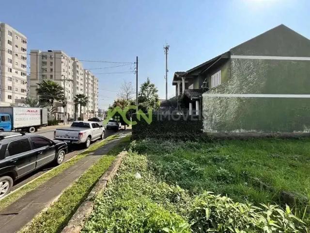 Terreno comercial para Venda em Novo Hamburgo/RS Vila Rosa