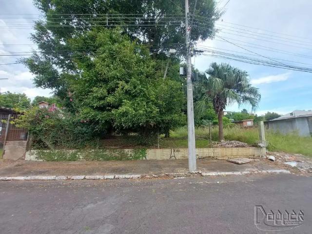 Terreno comercial para Venda em Novo Hamburgo/RS Boa Vista