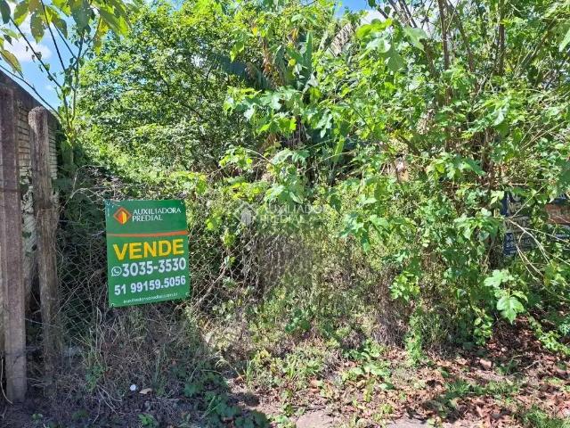 Terreno comercial para Venda em Novo Hamburgo/RS Primavera