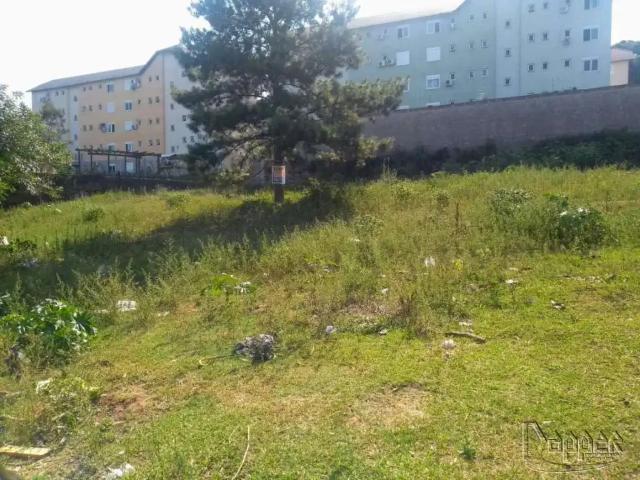 Terreno comercial para Venda em Novo Hamburgo/RS Rondônia