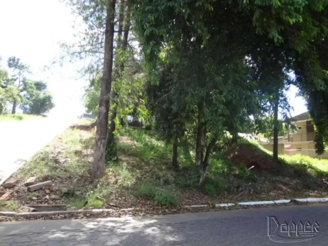 Terreno comercial para Venda em Novo Hamburgo/RS Rondônia