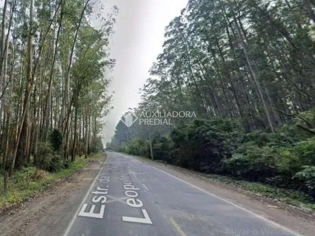 Terreno comercial para Venda em Novo Hamburgo/RS Santo Afonso