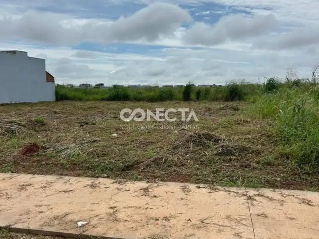 Terreno comercial para Venda em Nova Mutum/MT Jardim Montreal