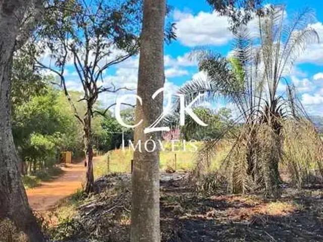 Terreno comercial para Venda em Nova Veneza/GO Zona Rural