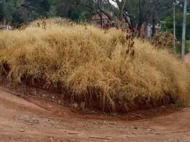 Terreno comercial para Venda em Atibaia/SP Jardim São Felipe