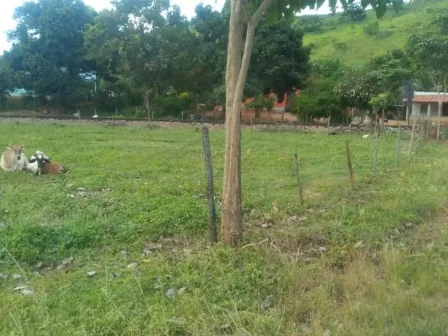 Terreno comercial para Venda em Atílio Vivácqua/ES Centro