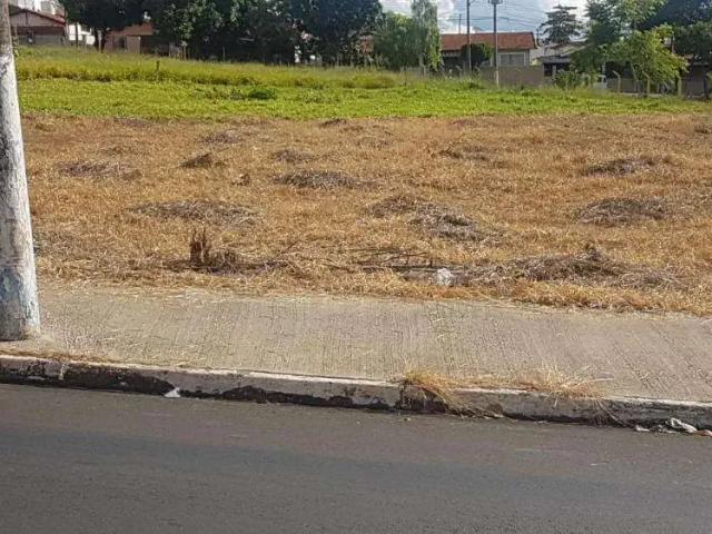 Terreno comercial para Venda em Americana/SP Jardim Nossa Senhora Aparecida