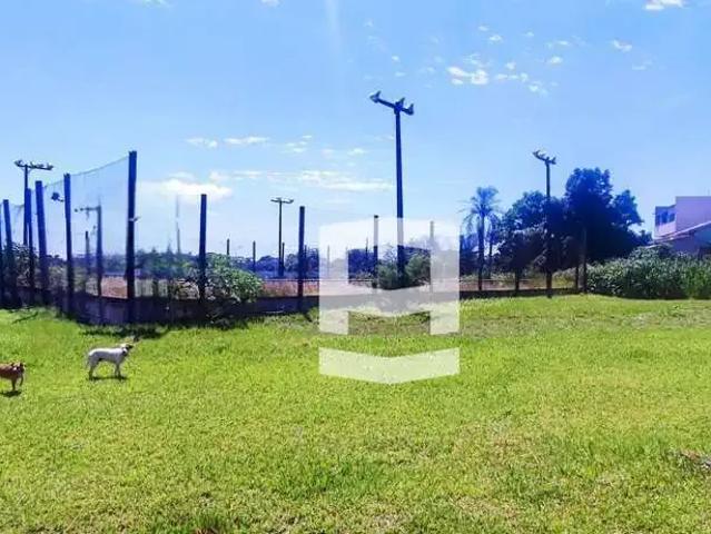 Terreno comercial para Venda em Apucarana/PR Jardim Trabalhista