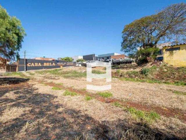 Terreno comercial para Venda em Apucarana/PR Jardim América
