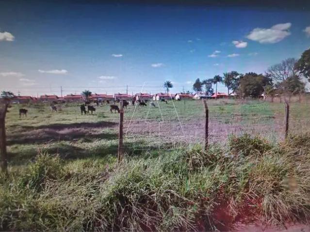 Terreno comercial para Venda em Araçatuba/SP Chácaras Moema