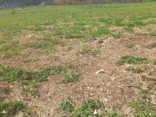 Terreno comercial para Venda em Araçatuba/SP Saudade