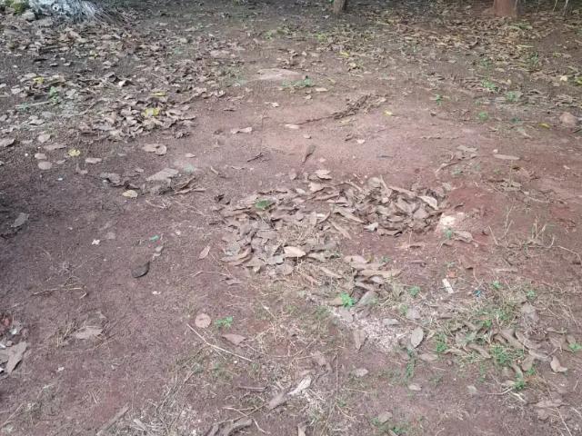 Terreno comercial para Venda em Araçatuba/SP Vila Mendonça