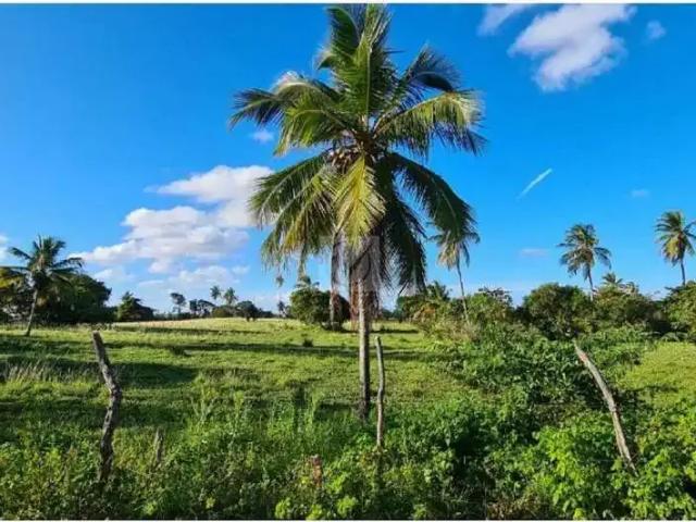 Terreno comercial para Venda em Aracaju/SE Aruana