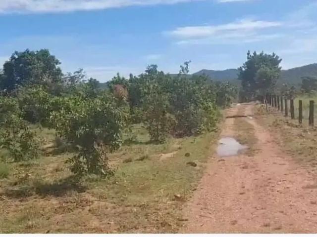 Terreno comercial para Venda em Araguapaz/GO Setor Central