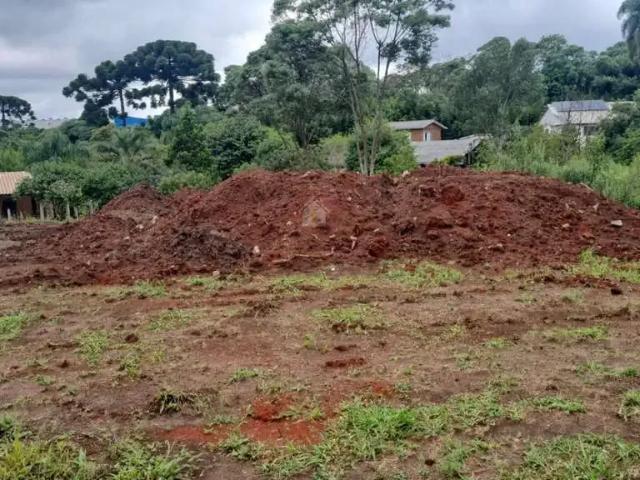 Terreno comercial para Venda em Araucária/PR Thomaz Coelho
