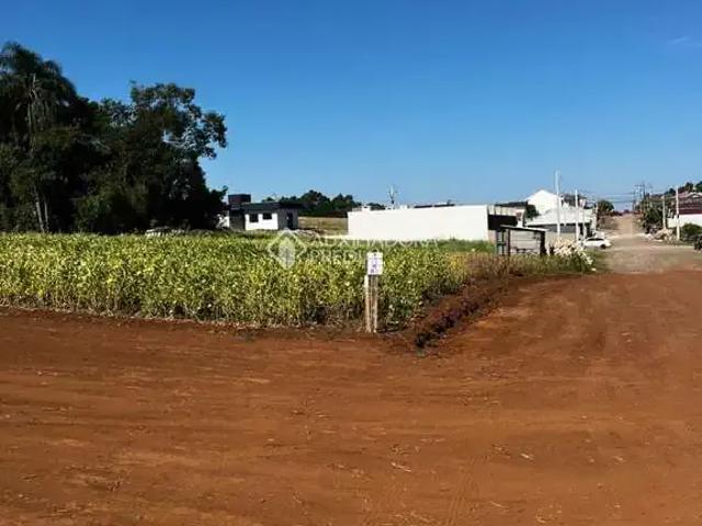 Terreno comercial para Venda em Arroio do Meio/RS Medianeira