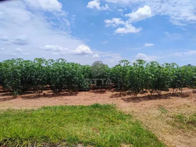 Terreno comercial para Venda em Artur Nogueira/SP Sítio Novo