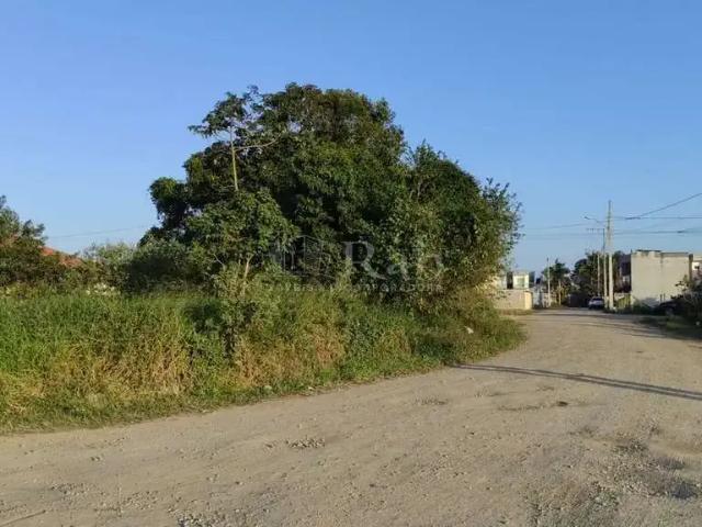 Terreno comercial para Venda em Balneário Piçarras/SC Itacolomi