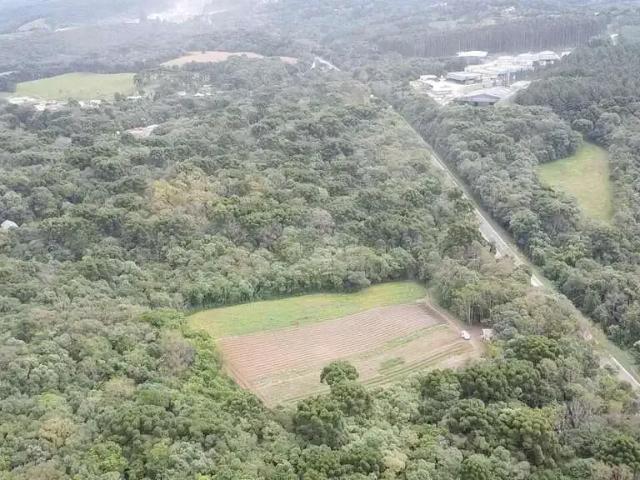 Terreno comercial para Venda em Balsa Nova/PR Bugre