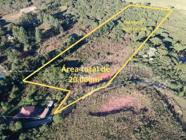 Terreno comercial para Venda em Balsa Nova/PR Campo do Meio
