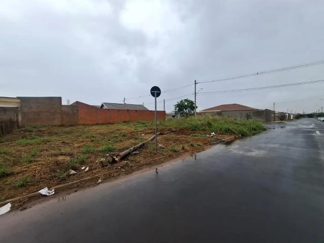 Terreno comercial para Venda em Barretos/SP Jardim Anastácio