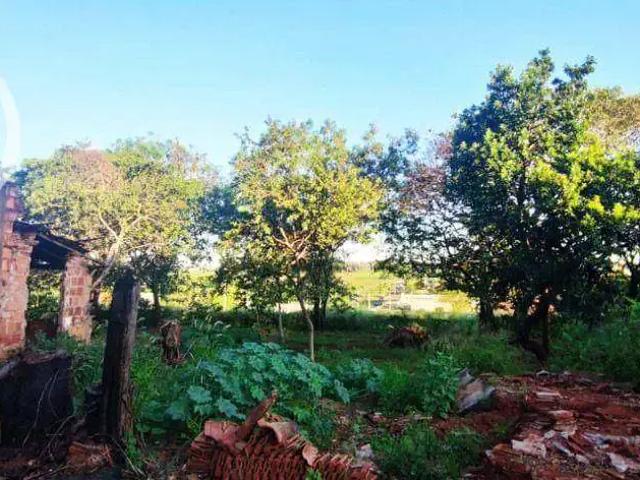 Terreno comercial para Venda em Barretos/SP São Salvador