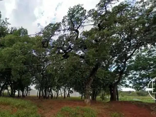 Terreno comercial para Venda em Bauru/SP Vila Aviação