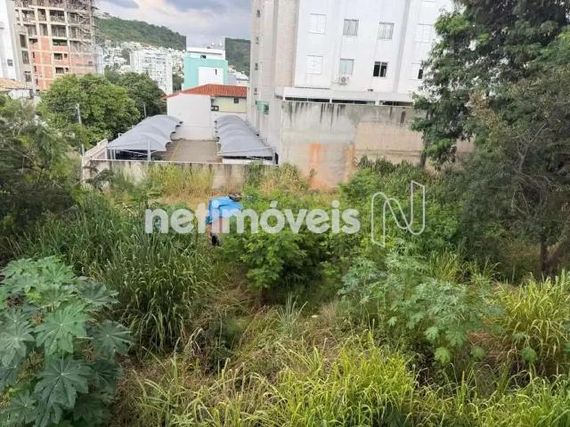 Terreno comercial para Venda em Belo Horizonte/MG Castelo